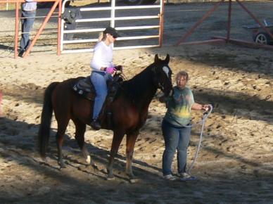 Rocking Z Stables - Services